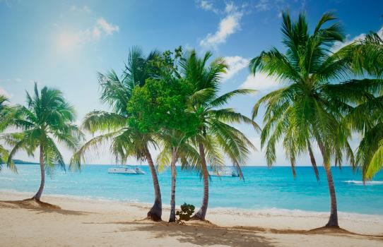 Pacotes de viagens para o Caribe | Central de Vacaciones